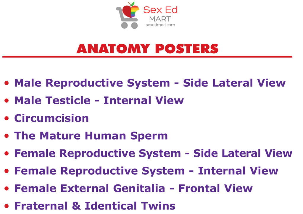 Anatomy Posters – Poster Set (Download or Hard Copy)